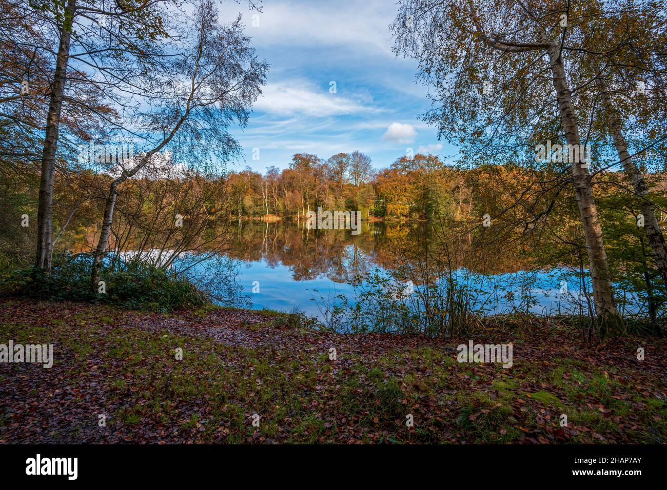 Slaugham mill pond during autumn, Slaugham, West Sussex, England, Uk ...
