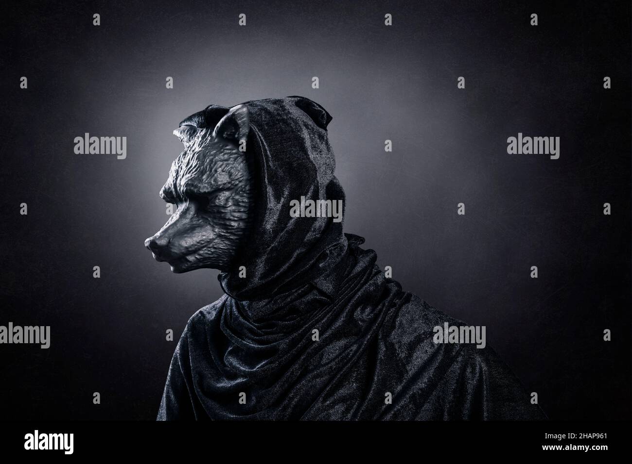 Wolf in hooded cloak at night over dark misty background Stock Photo ...