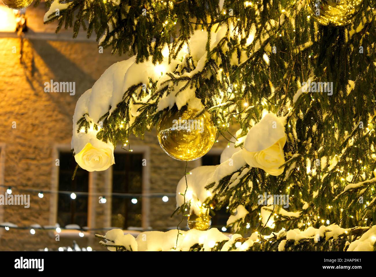Decorated christmas tree in the center of Tallinn. christmas tree with ...