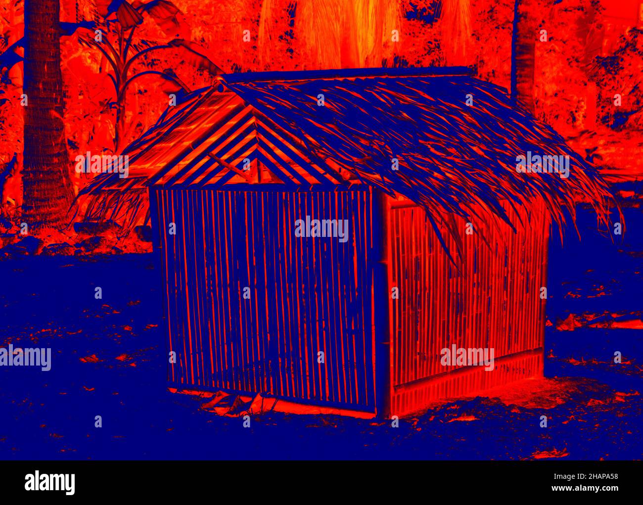 Bamboo cabin in the tropical Woods, Southeast Asia. Image in blue-red ...