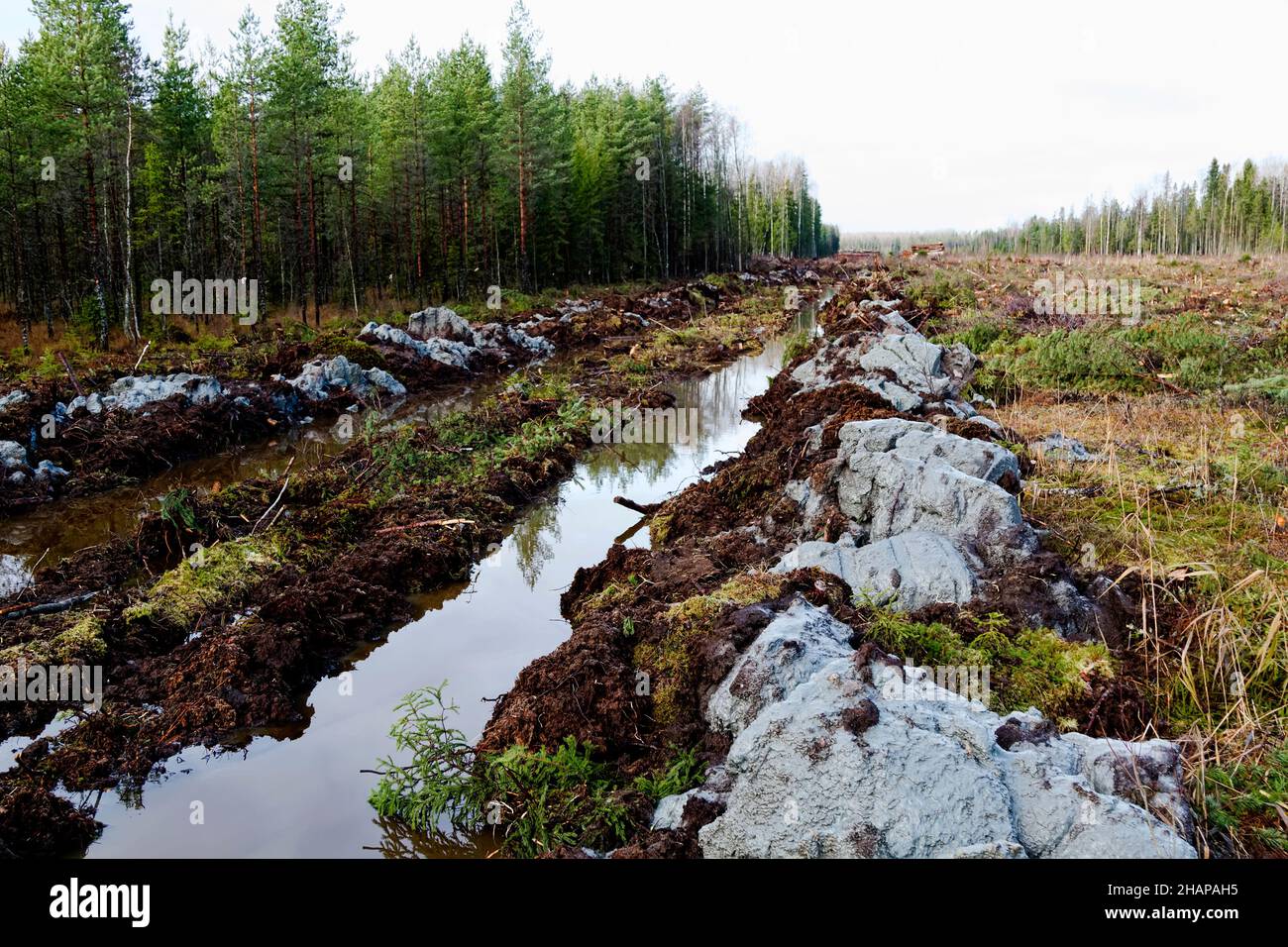 A double drainage ditch is dug at the edge of the swampy northern ...