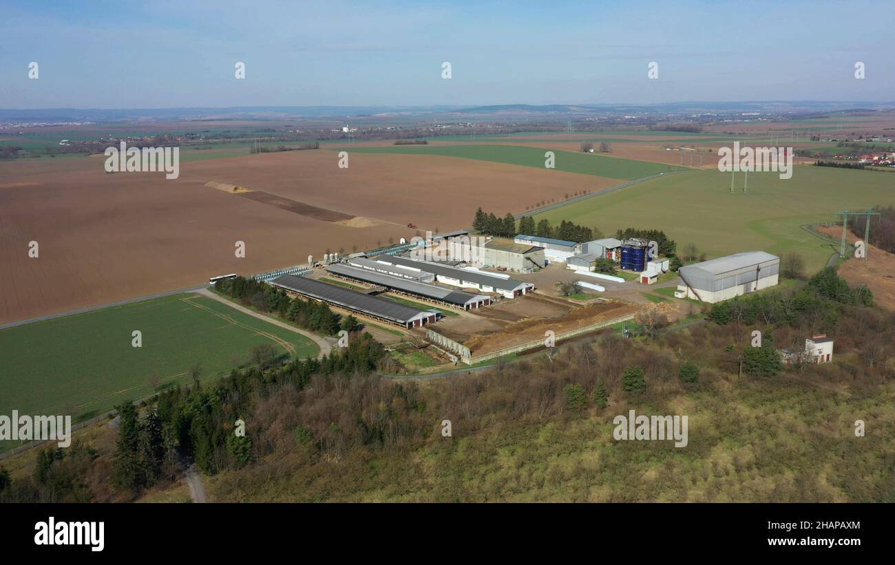 Dairy cows feeding barn dron aerial video shot, large fields farm field ...