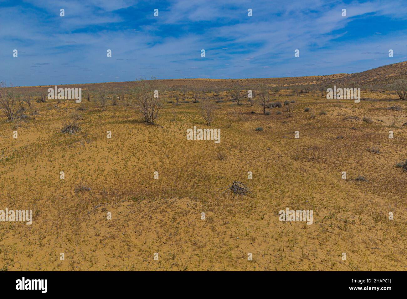 Karakum desert landscape hi-res stock photography and images - Alamy