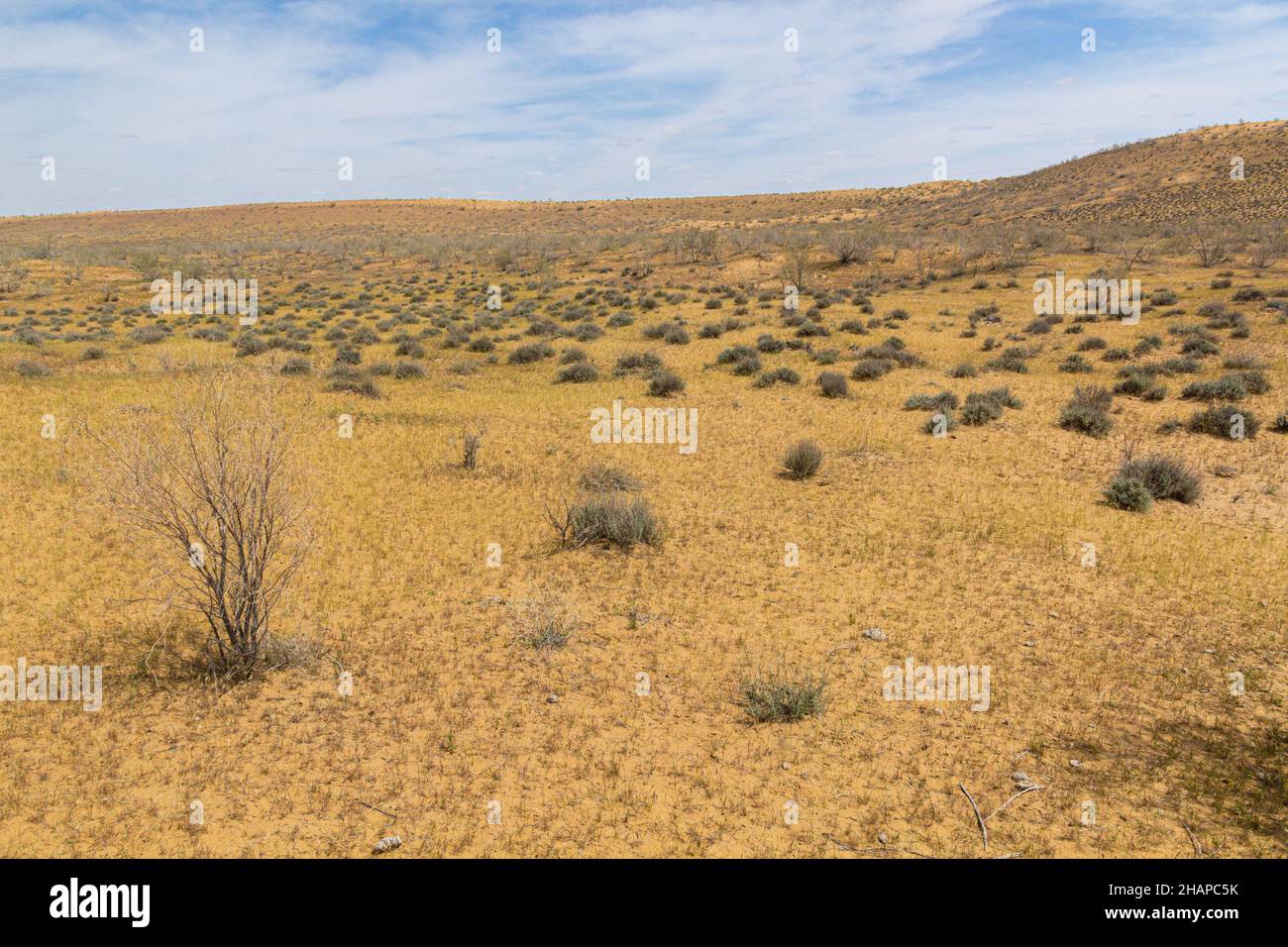 View of Karakum Desert in Turkmenistan Stock Photo - Alamy