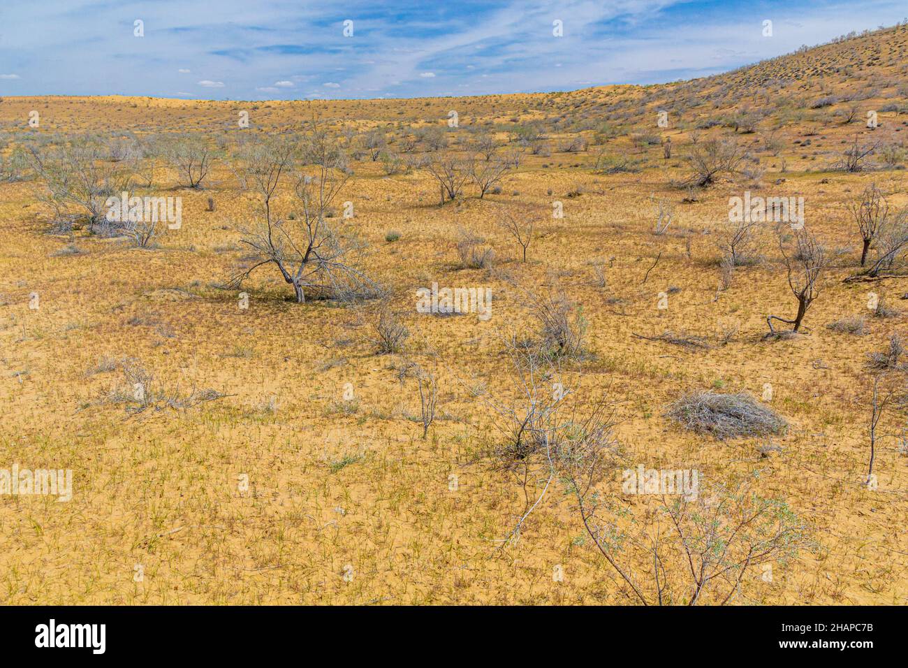 View of Karakum Desert in Turkmenistan Stock Photo - Alamy