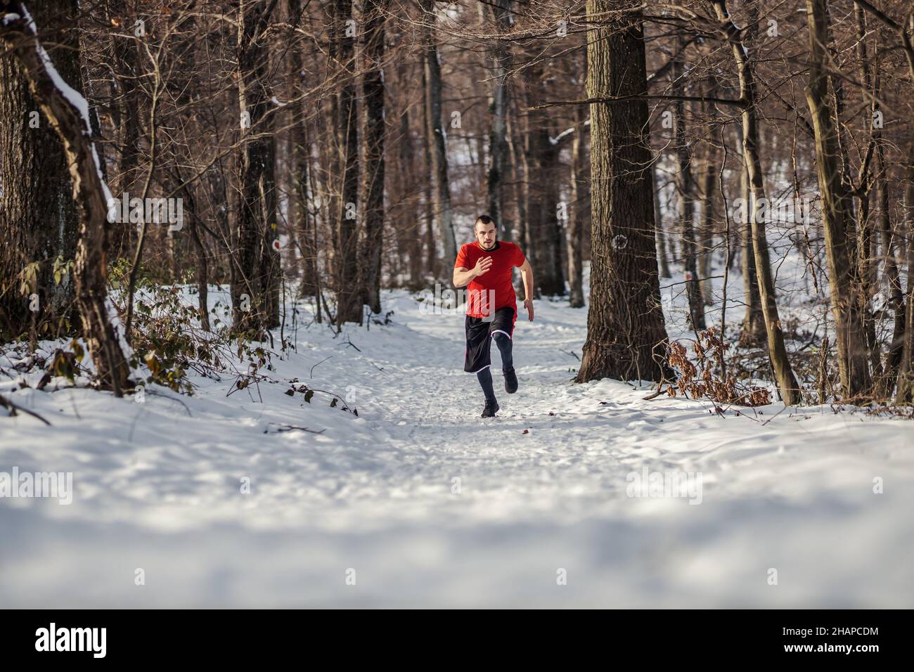 Fast sprinter sprinting in snowy woods at winter. Winter fitness ...