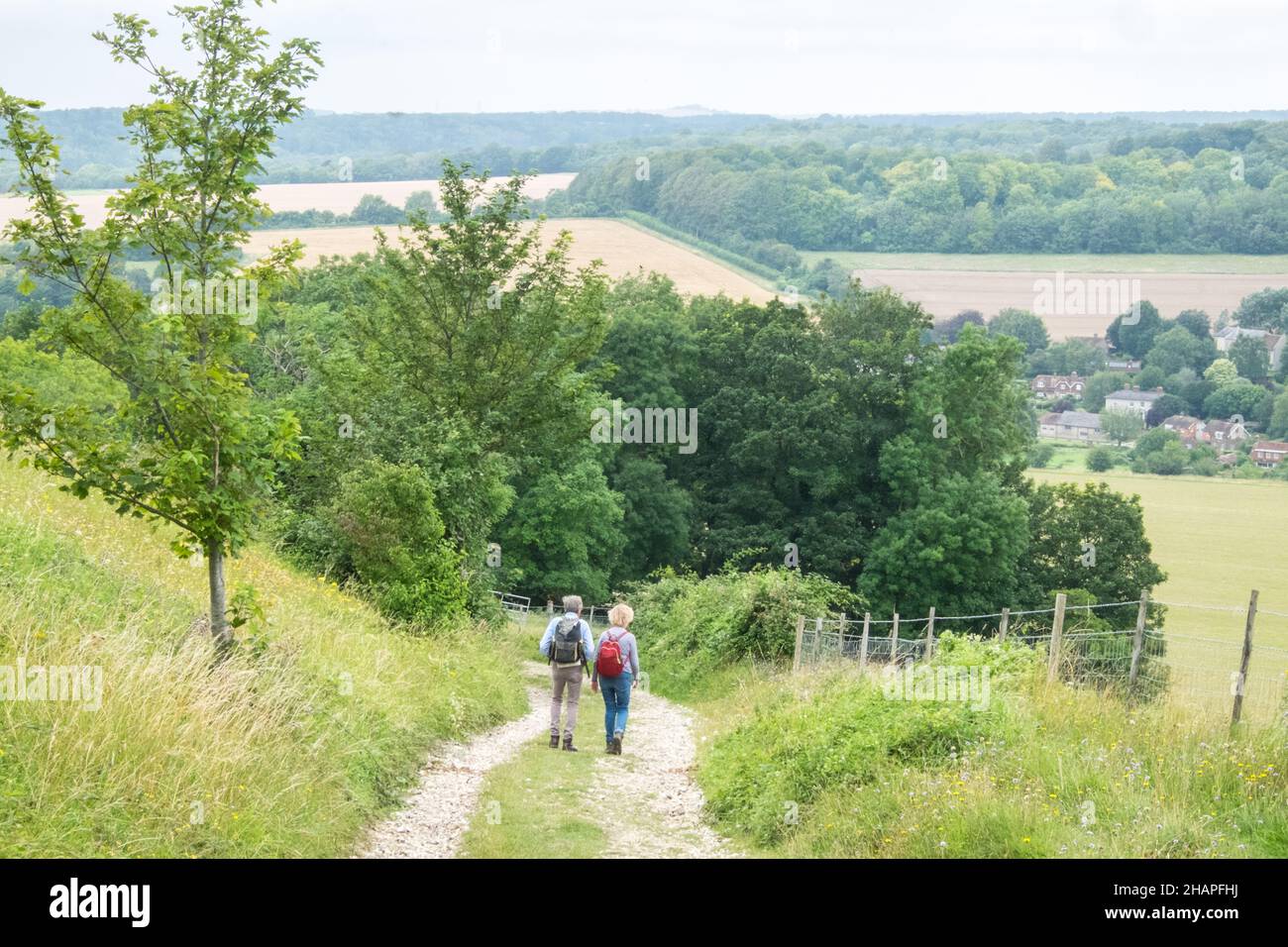 Kingley Vale, Kingley Vale National Nature Reserve, a grove of ancient ...