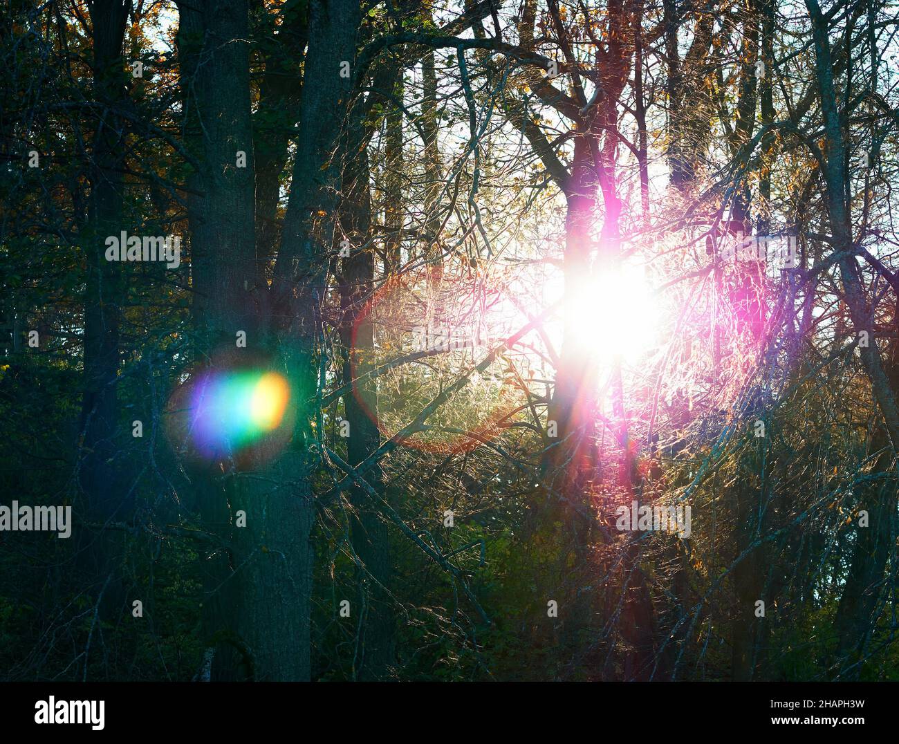 Aberration in nature hi-res stock photography and images - Alamy