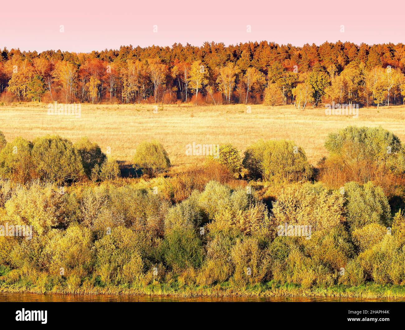 Dramatic fall forest landscape background Stock Photo - Alamy