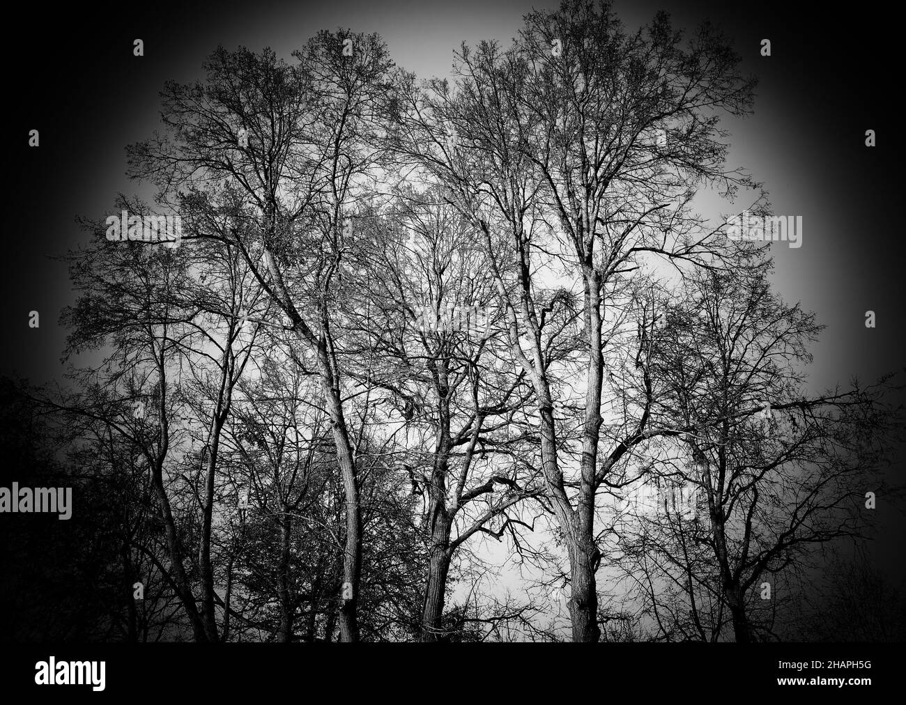 Minimal vignette Black and White Stock Photos & Images - Alamy