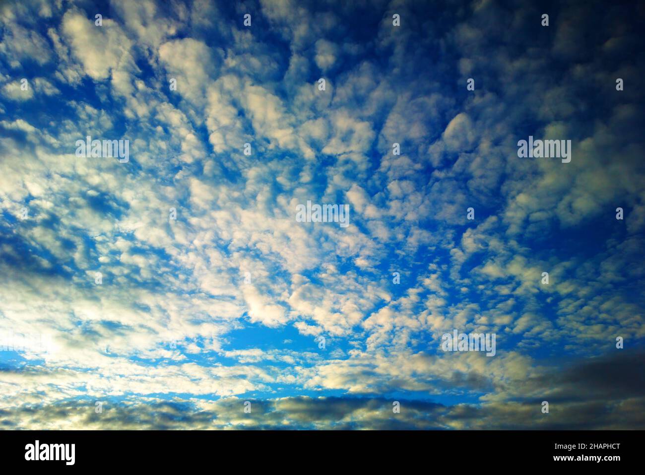 Dramatic pinnate daylight clouds background Stock Photo - Alamy