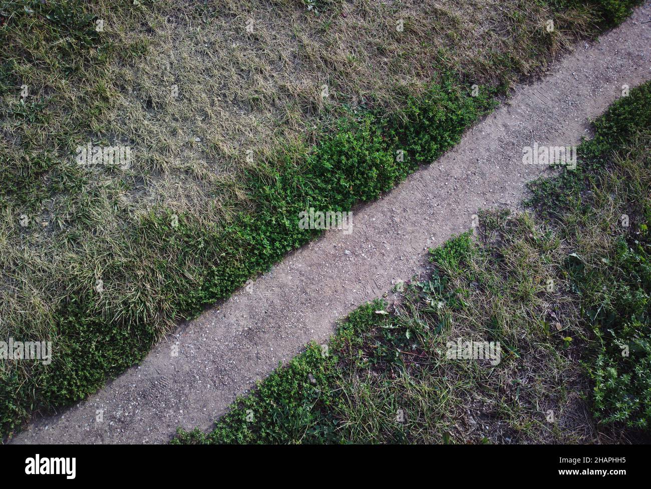 Diagonal park path summer background Stock Photo - Alamy