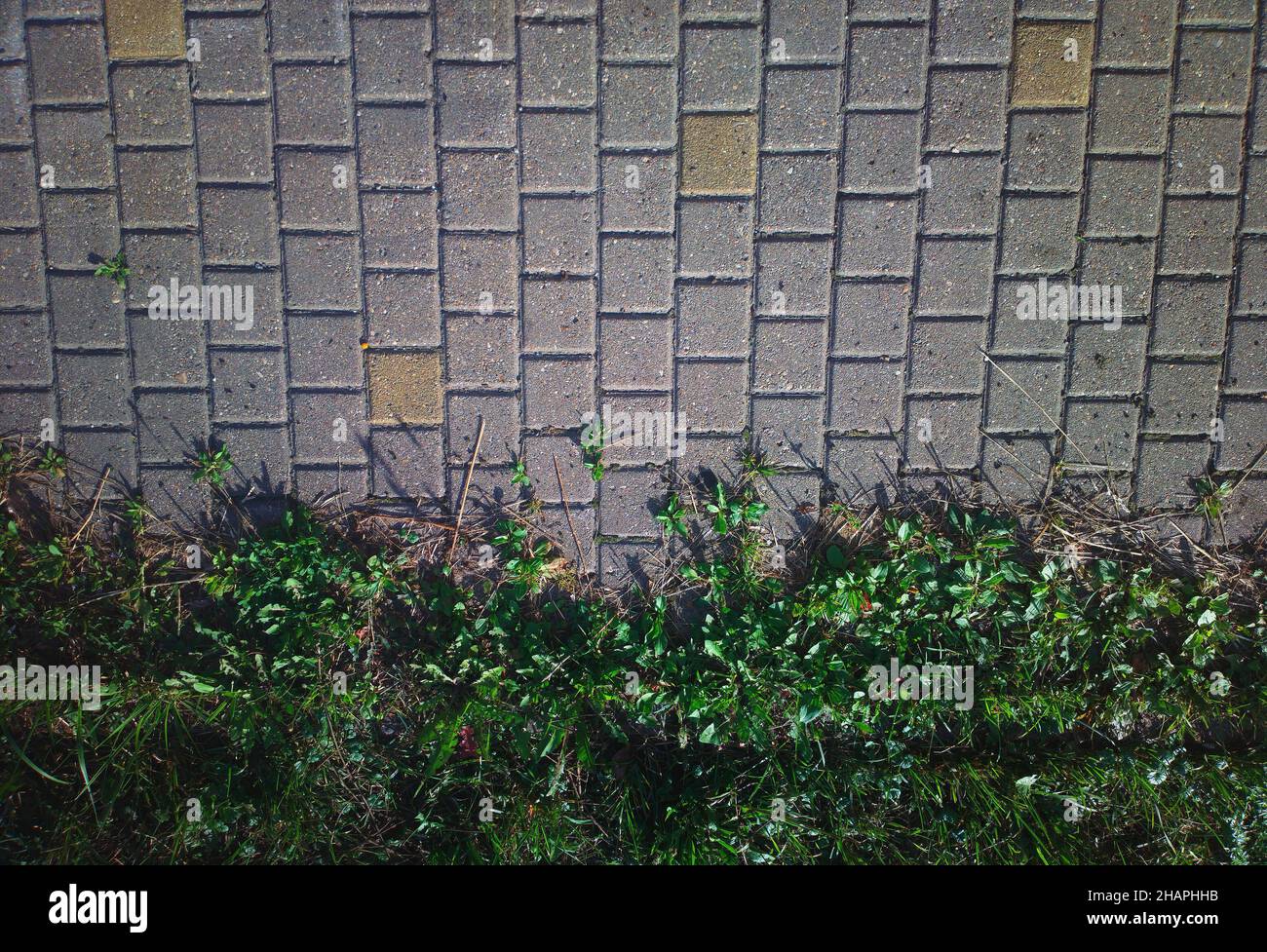 Park sidewalk texture background Stock Photo - Alamy