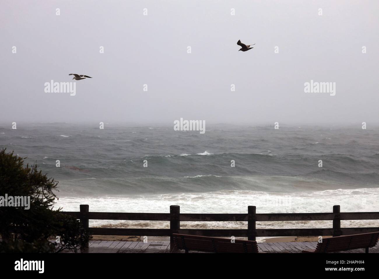 Laguna Beach, California, USA. 14th Dec, 2021. Stormy seas at Laguna ...
