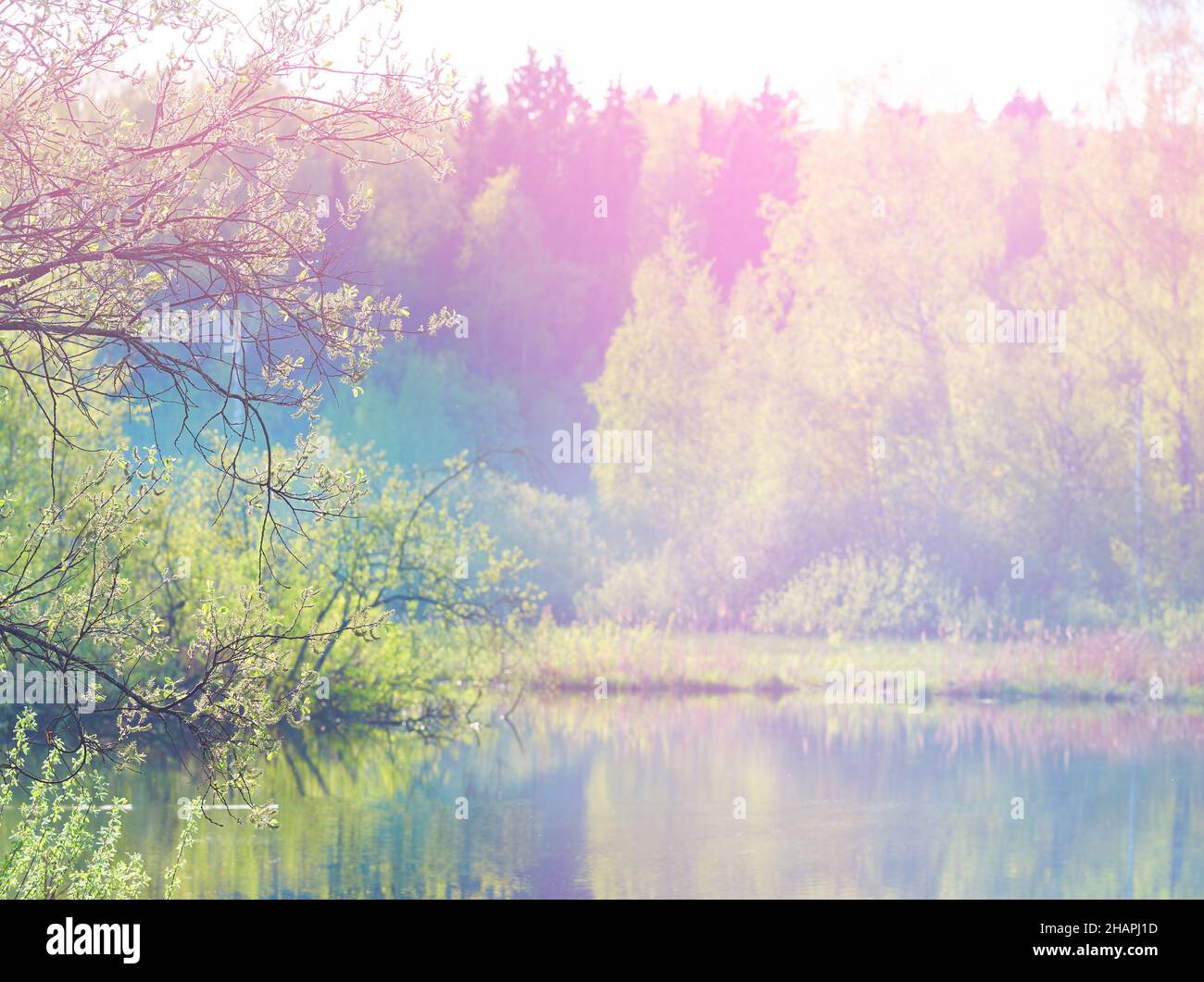 Aligned tree hi-res stock photography and images - Alamy