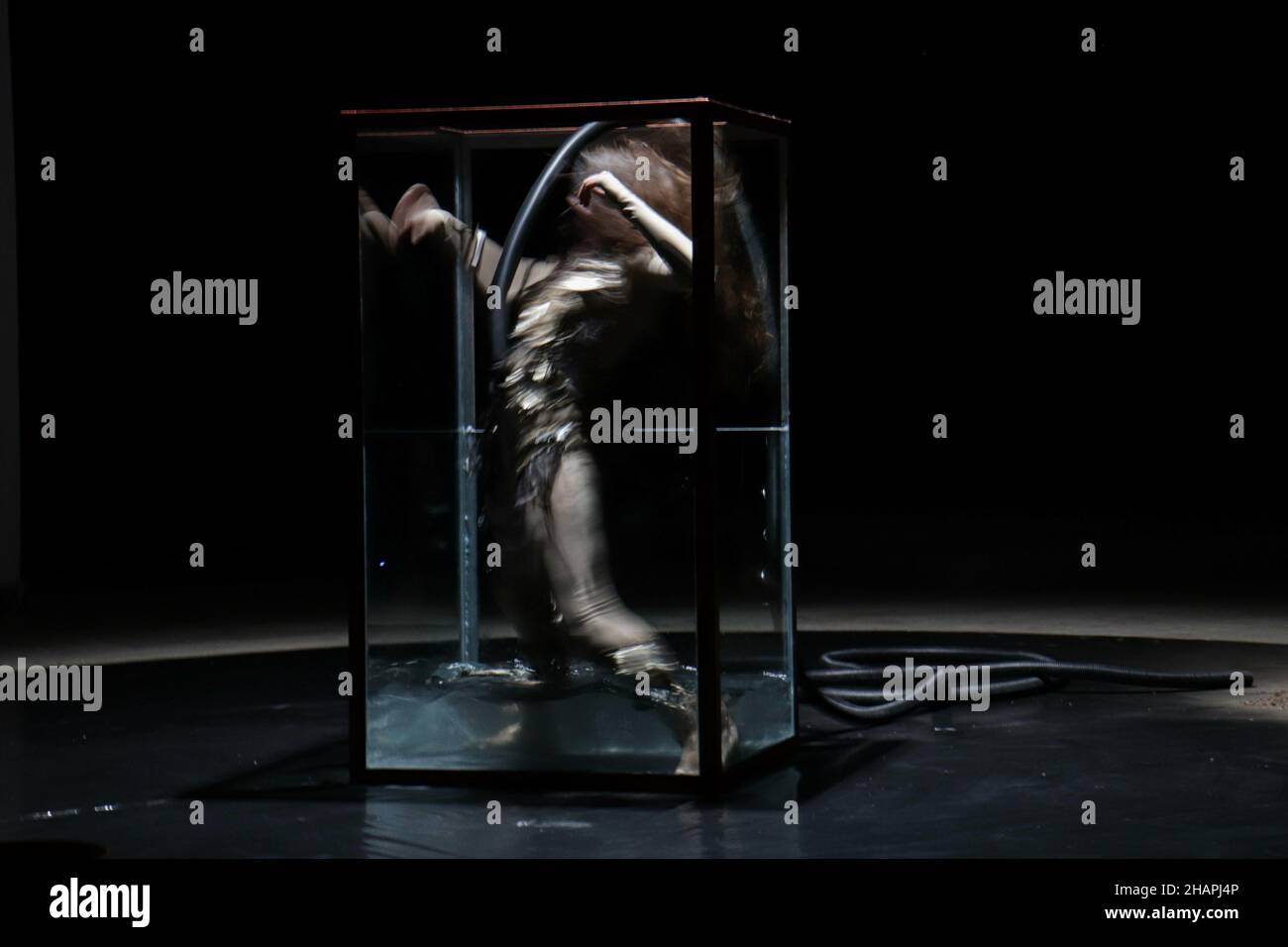 Performer in special attire in a glass box during a performance Stock ...