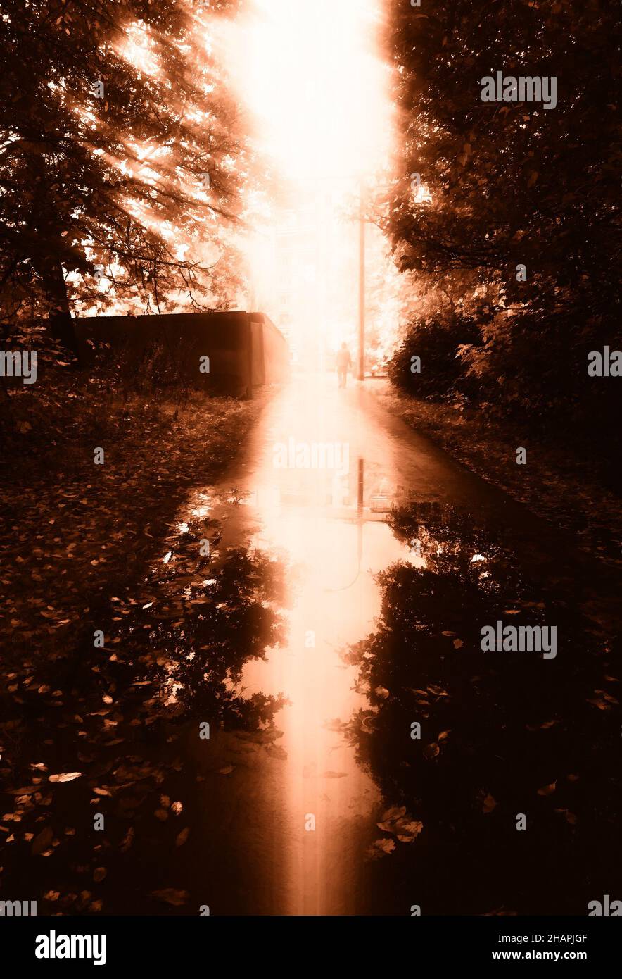 Stalker illuminated by God ray illustration Stock Photo - Alamy