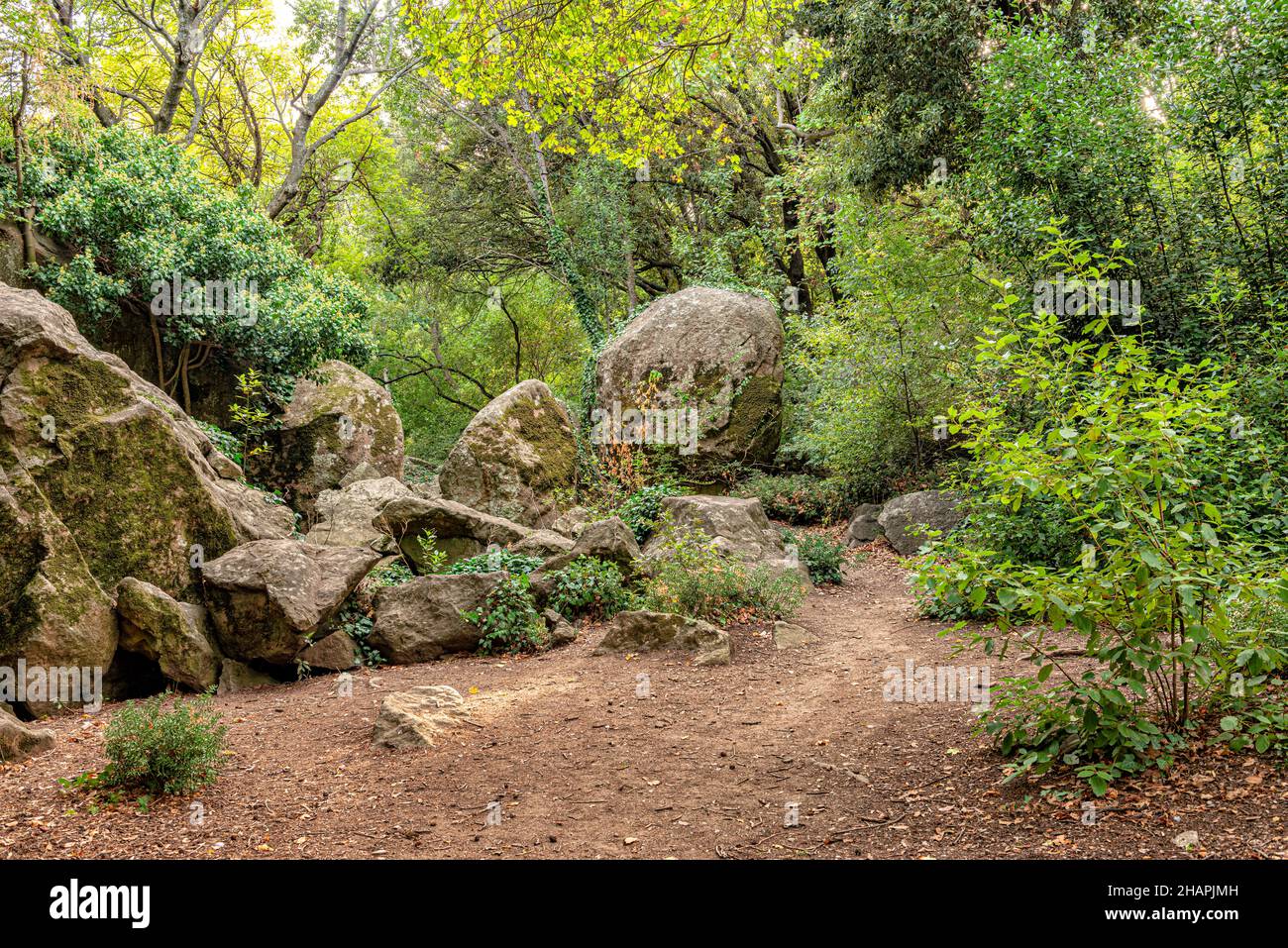 Large stones boulders in a forest clearing Stock Photo - Alamy