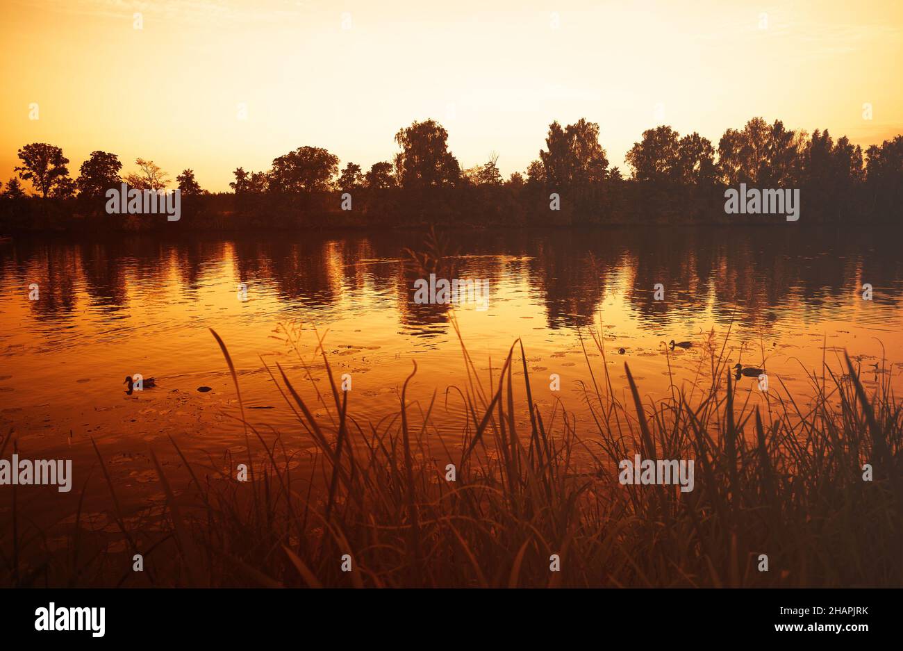 Golden river sunset landscape background Stock Photo - Alamy