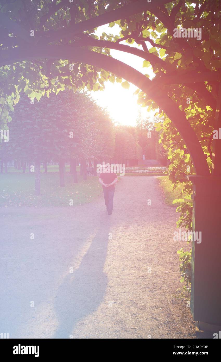 Wan walking at sunny park background Stock Photo - Alamy