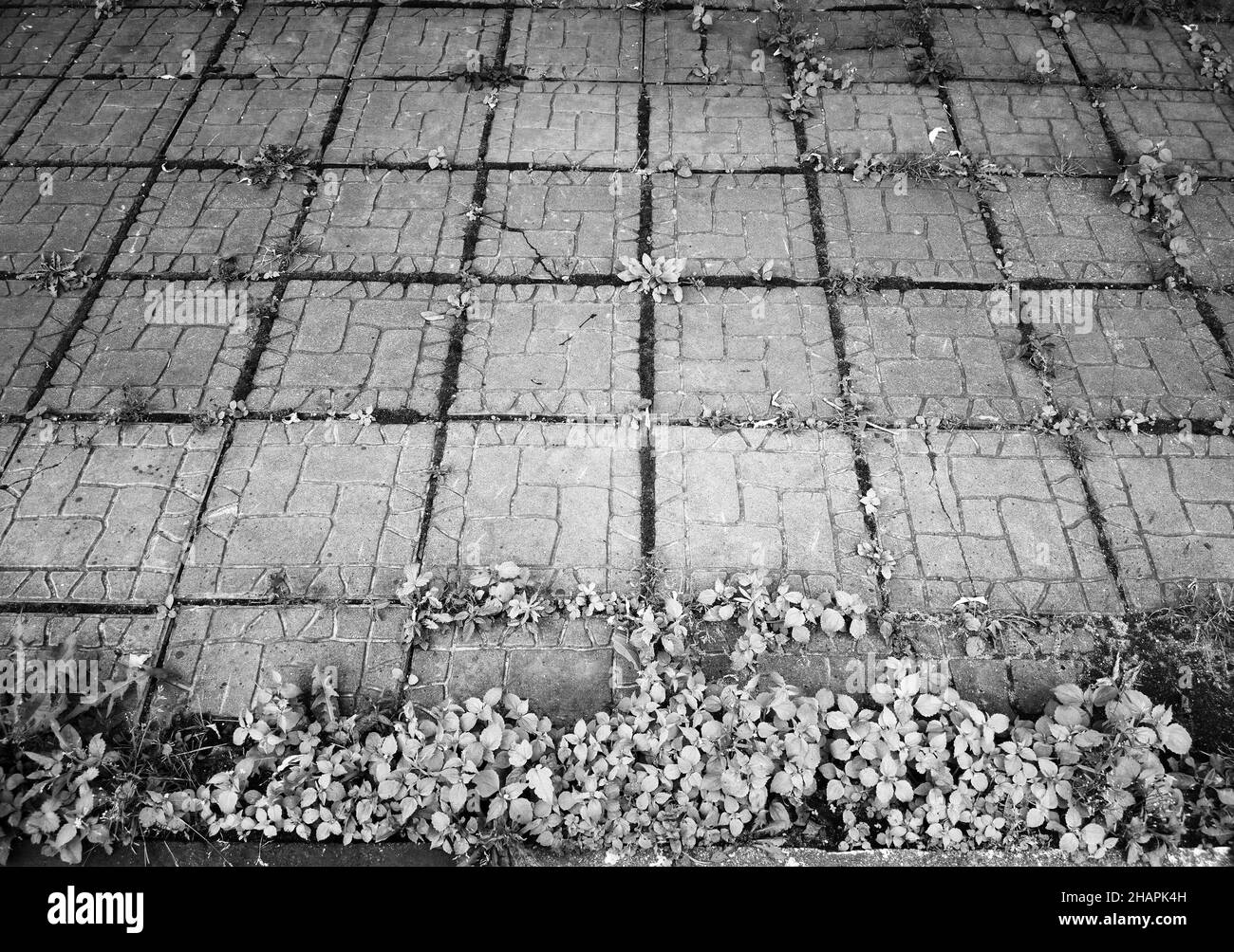 Aligned with grid Black and White Stock Photos & Images - Alamy