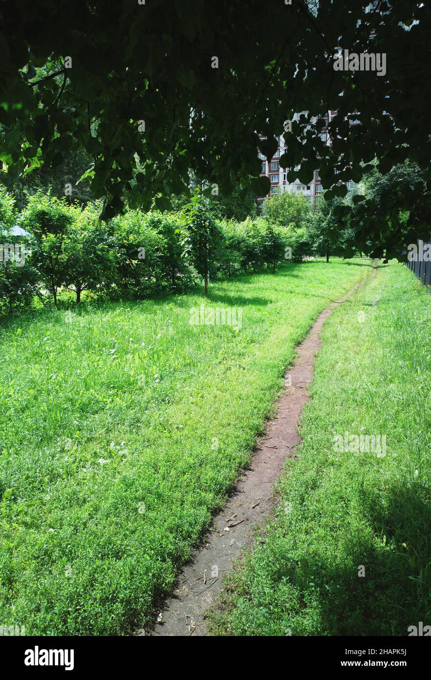 Empty park path nature background Stock Photo - Alamy