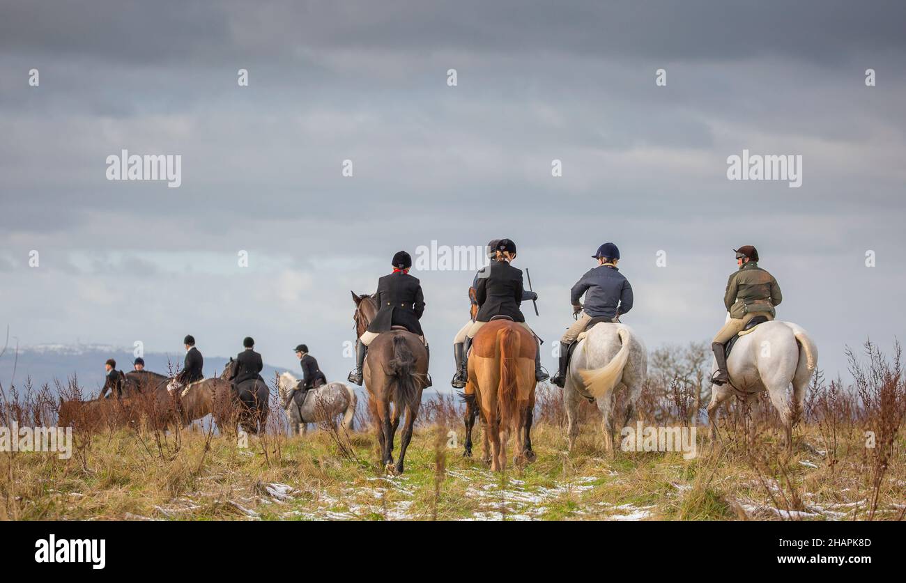 Foxhunting hi-res stock photography and images - Alamy