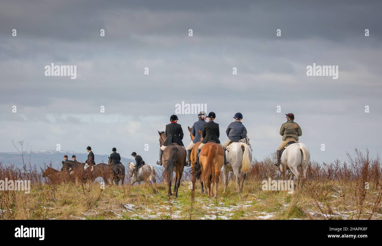 Fox hunting in UK countryside Stock Photo - Alamy