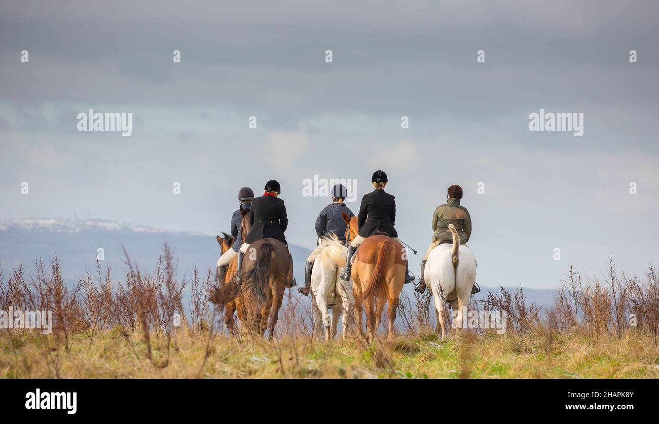 Rear view of huntsmen on horseback fox hunting in winter UK countryside ...