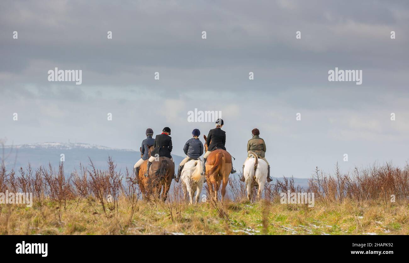 Fox hunting in UK countryside Stock Photo - Alamy