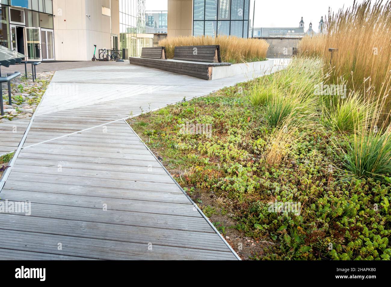 Modern city landscaping with wooden walkways, green plants and flower ...