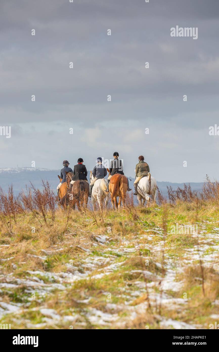 Fox hunting in UK countryside Stock Photo - Alamy