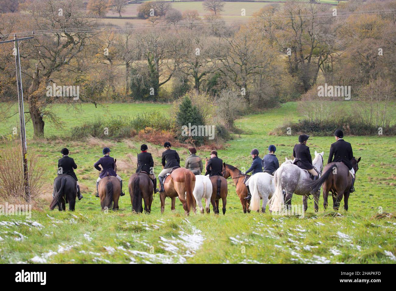 Fox hunting in the UK countryside. Rear view of riders on horseback ...