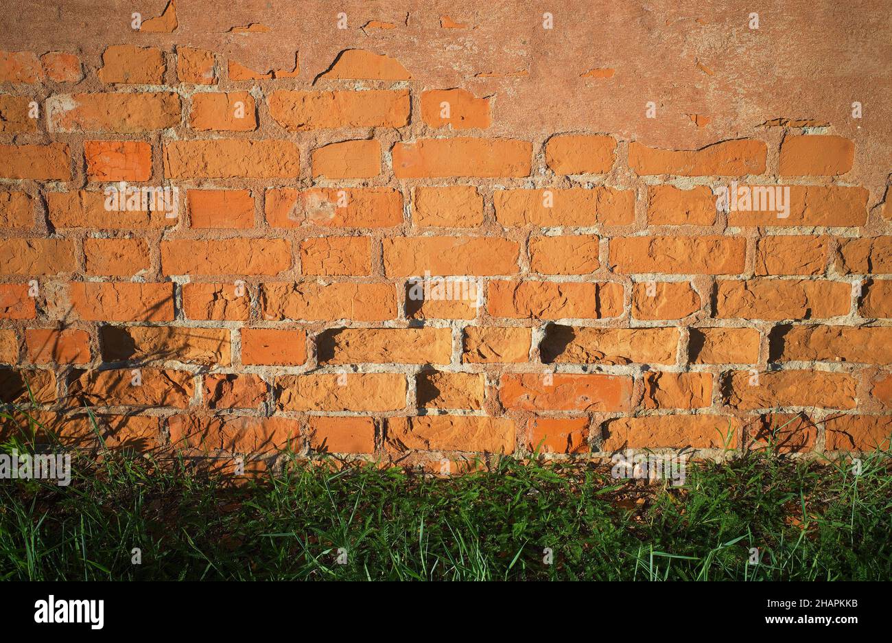Medieval castle wall with green grass Stock Photo - Alamy