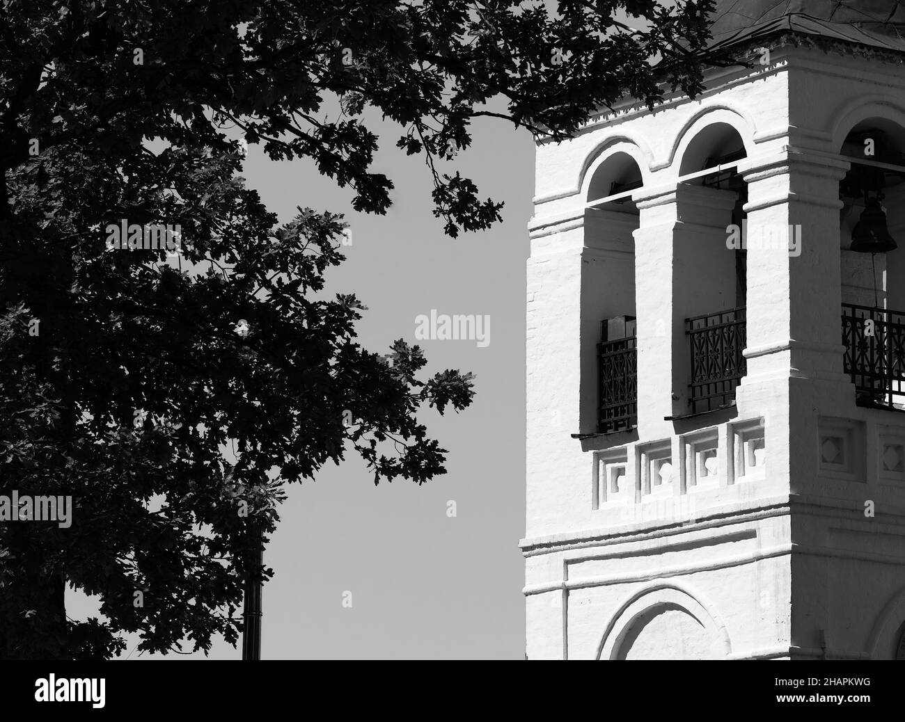 Two arc windows covered with tree branches background Stock Photo - Alamy