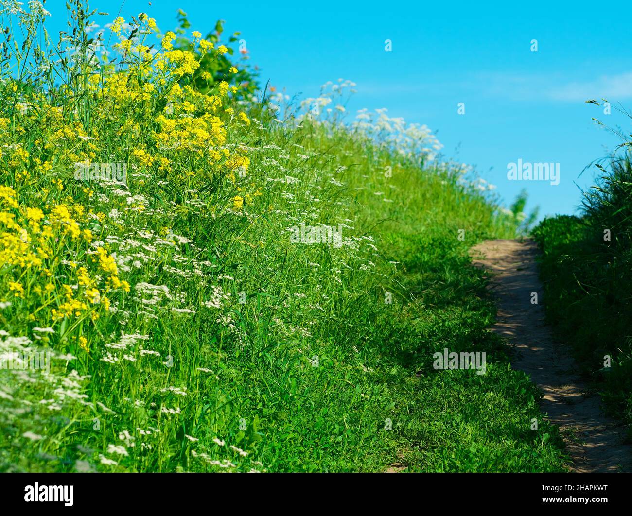 Left aligned design hi-res stock photography and images - Alamy