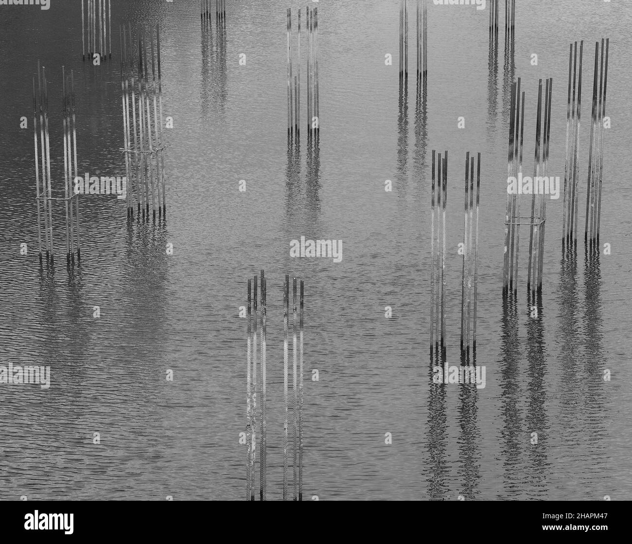 Industrial site water in Black and White Stock Photos & Images - Alamy