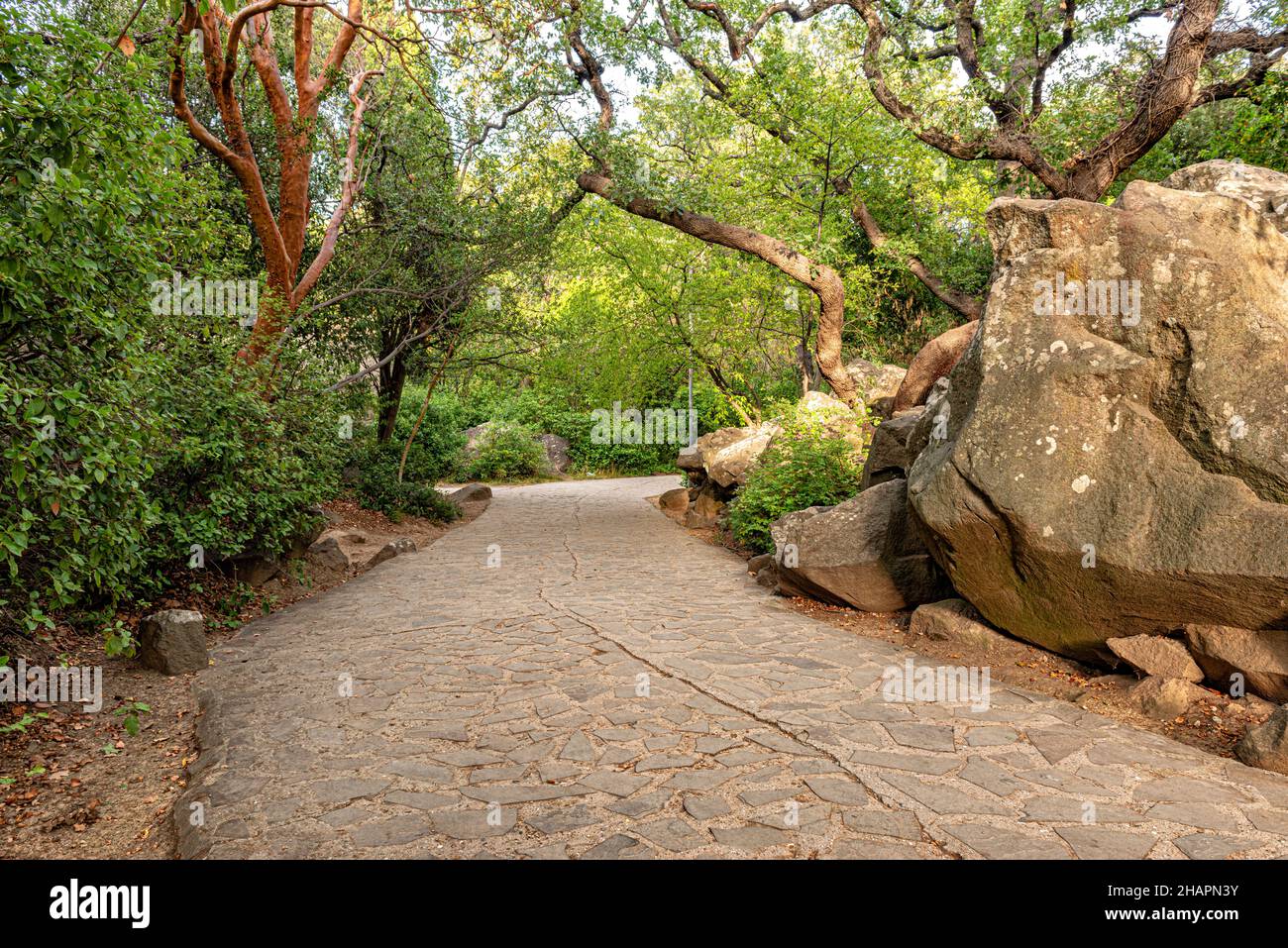 pedestrian path in the park recreation area Stock Photo - Alamy