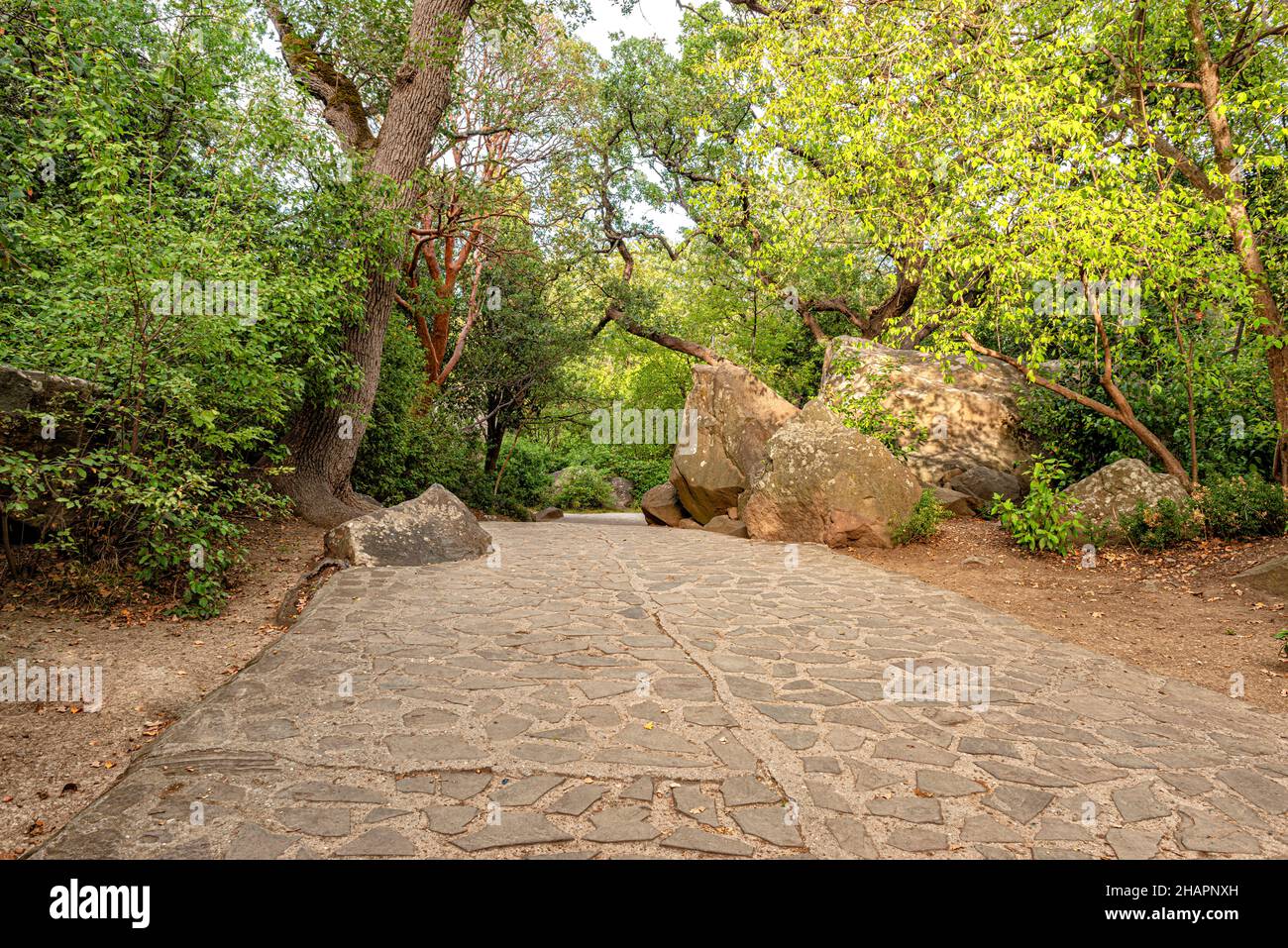 walking path with stone tiles in a public park Stock Photo - Alamy