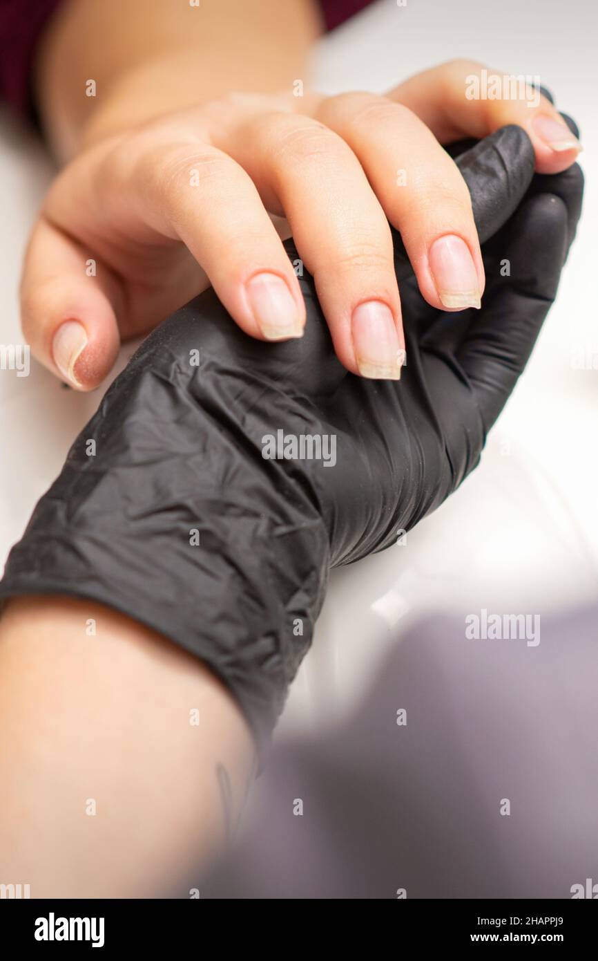 Examination of manicured fingernails. Hands of manicure master in black ...