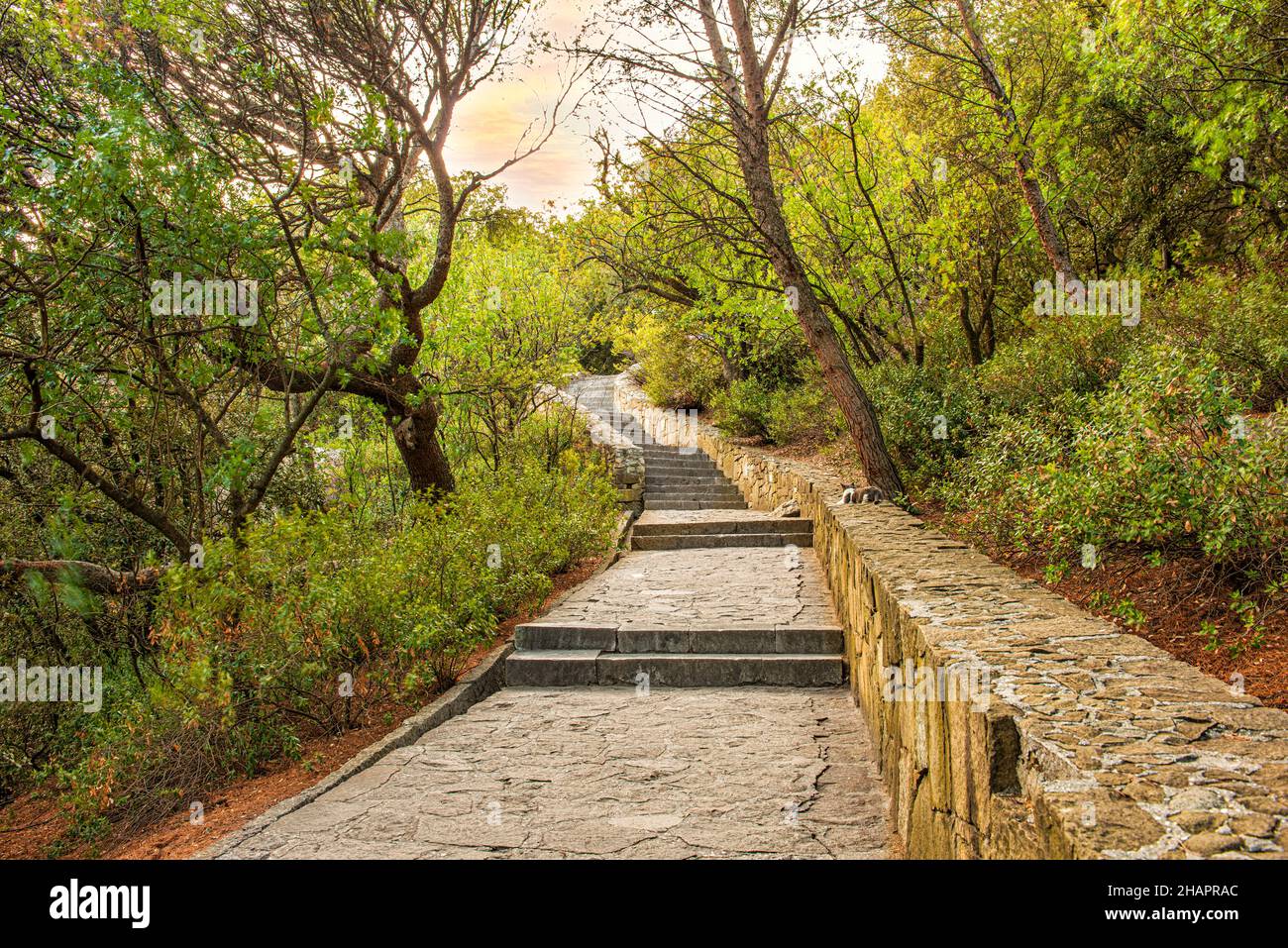Long climb hi-res stock photography and images - Alamy