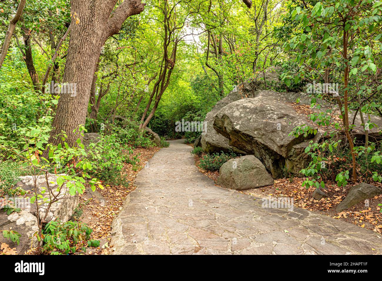 a narrow walkway with stone tiles in an old public park Stock Photo - Alamy