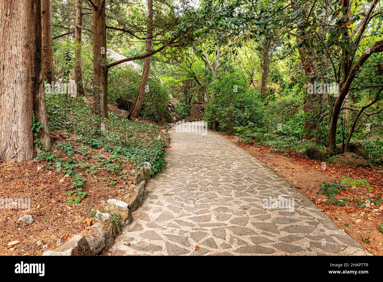 Pedestrian hiking stone path hi-res stock photography and images - Alamy