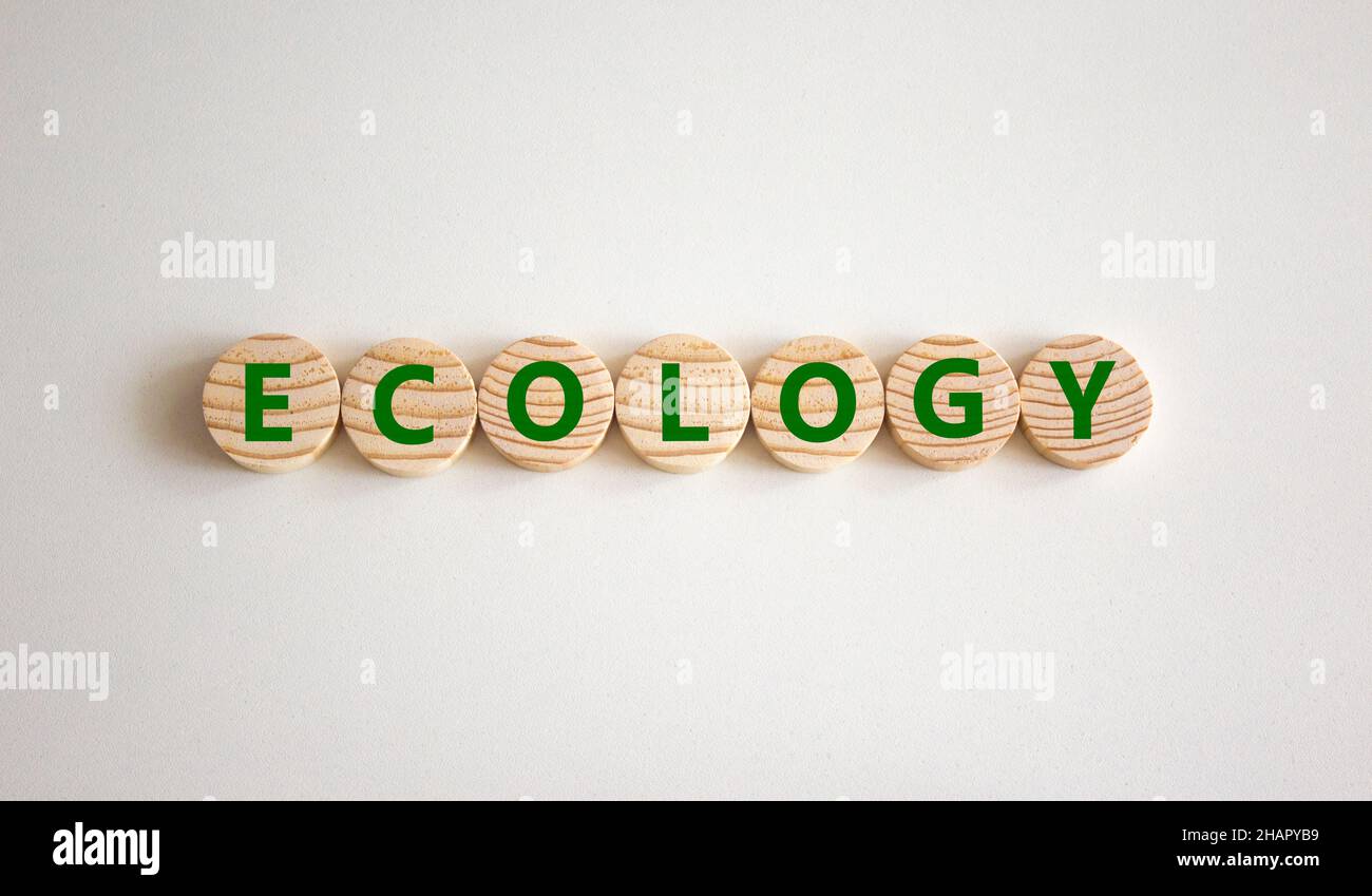 Ecology symbol. The concept word Ecology on wooden circles. Beautiful ...