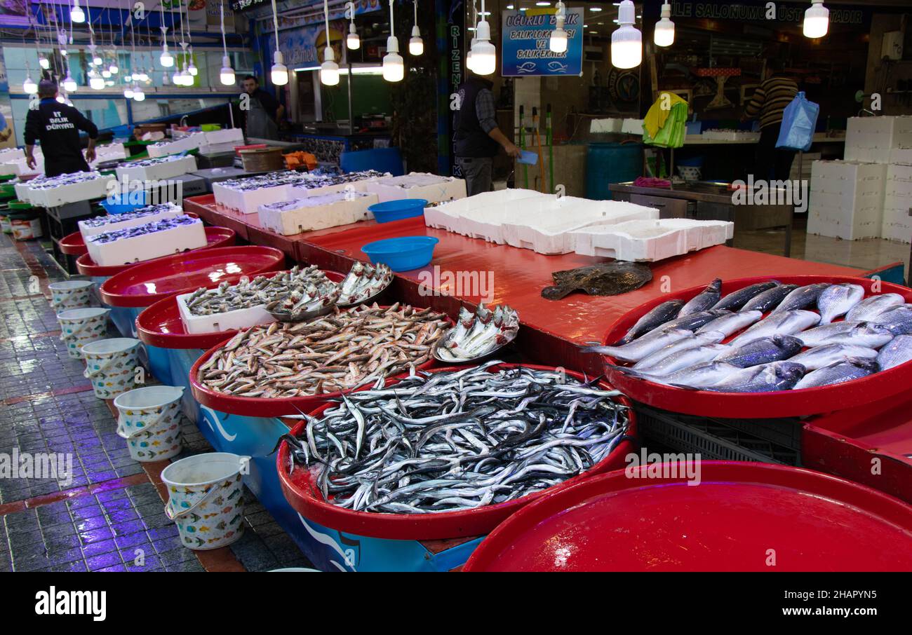 Black sea foods. Fish market in Rize city of Turkey. Different types of ...