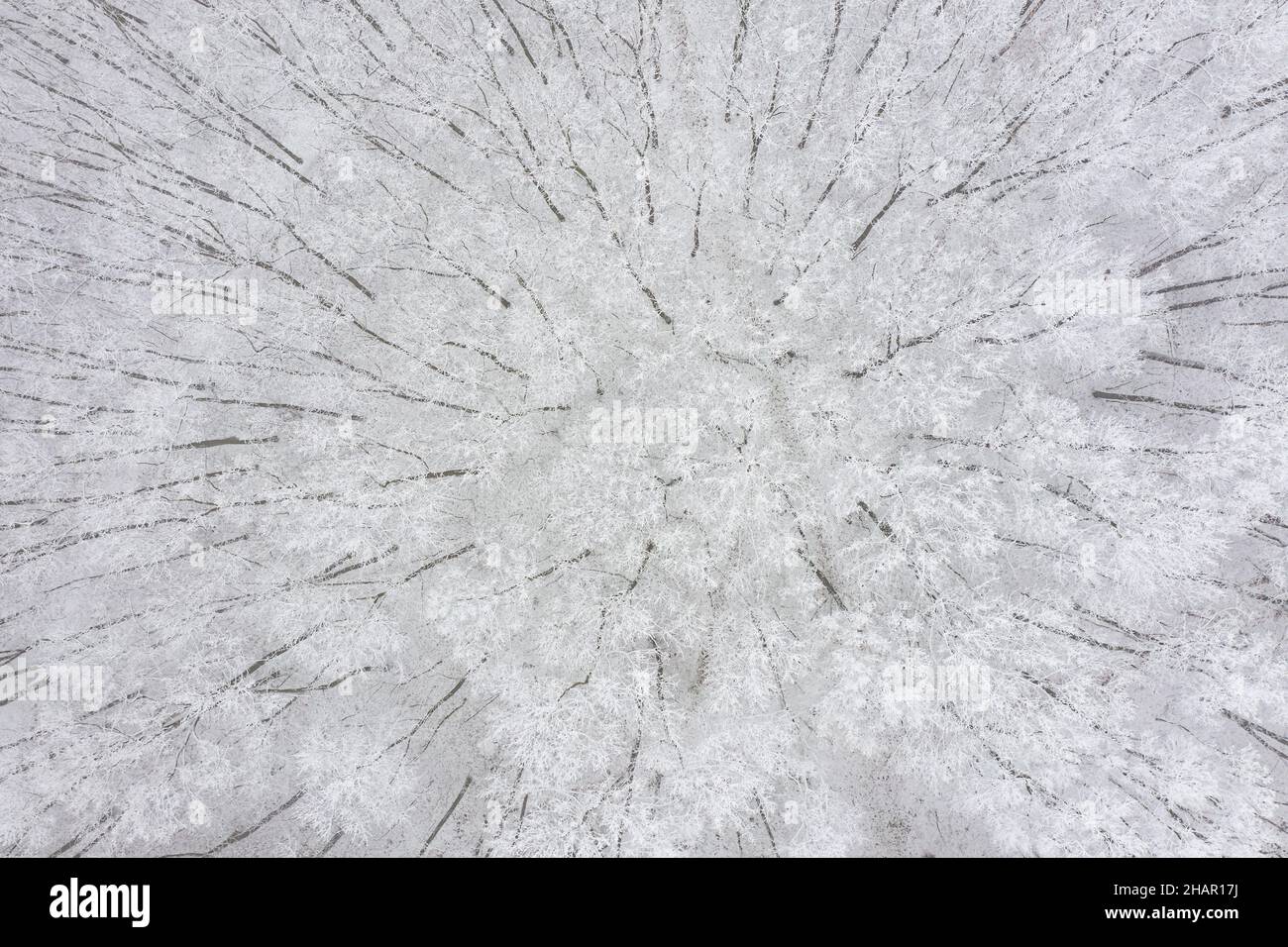 Frost covered winter landscape hi-res stock photography and images - Alamy