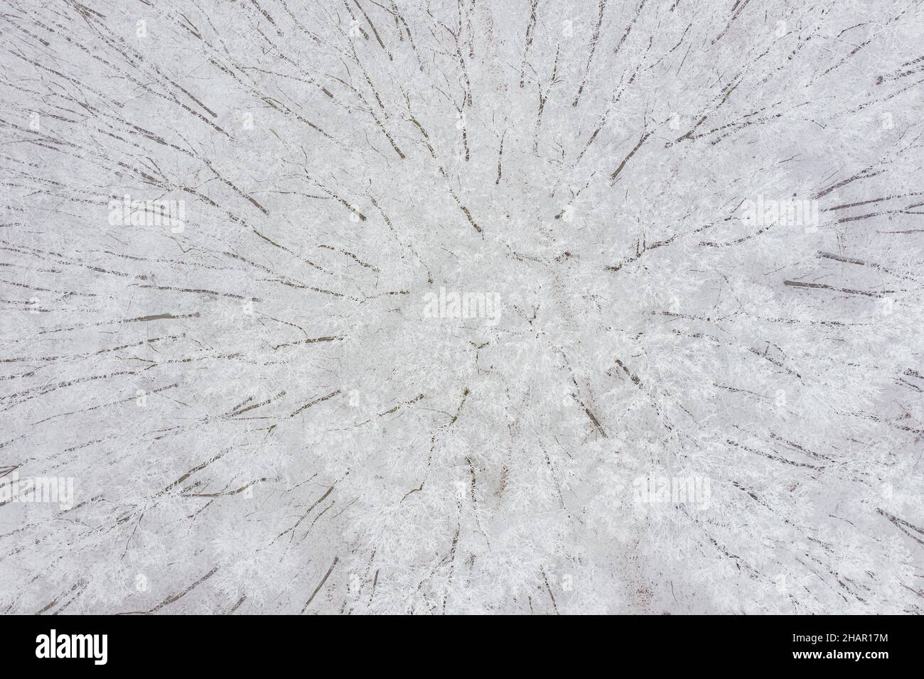 Frost covered winter landscape hi-res stock photography and images - Alamy
