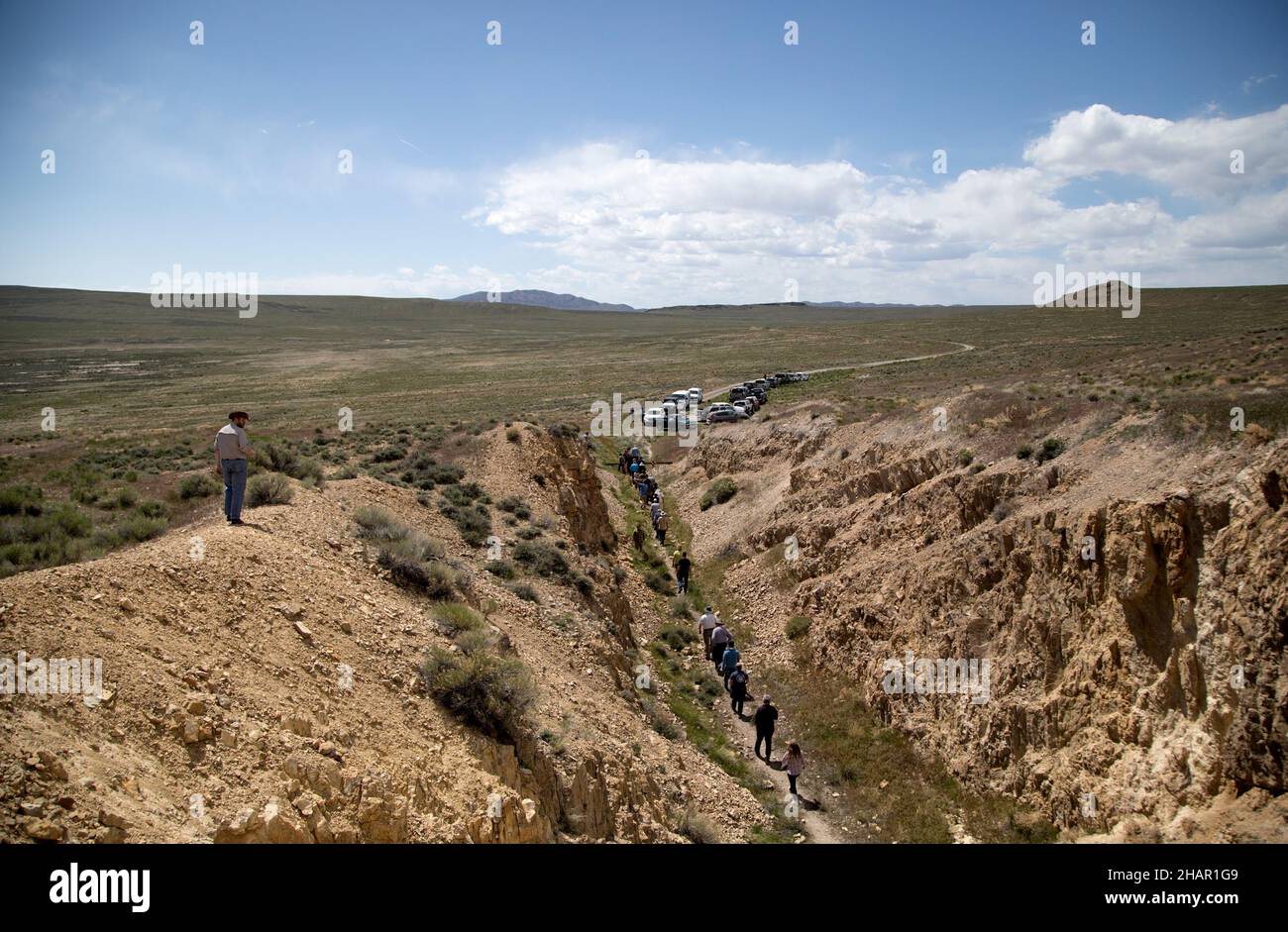 Peplin hi-res stock photography and images - Alamy