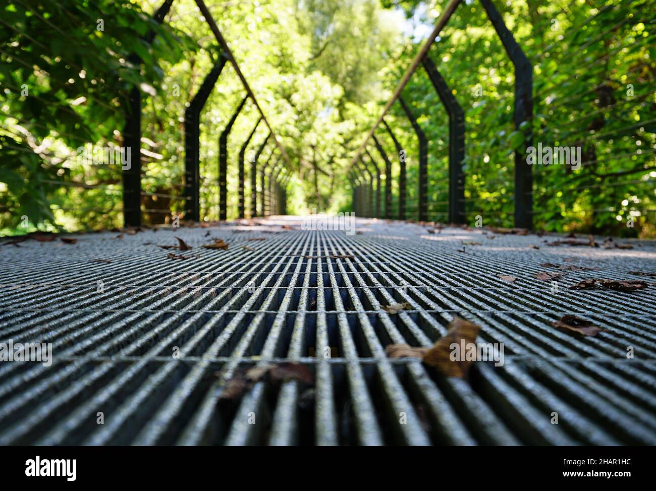 Metal walking trail through a green forest Stock Photo - Alamy