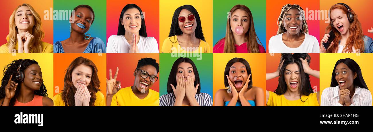 Bright stylish multiethnic ladies posing on colorful backgrounds Stock ...